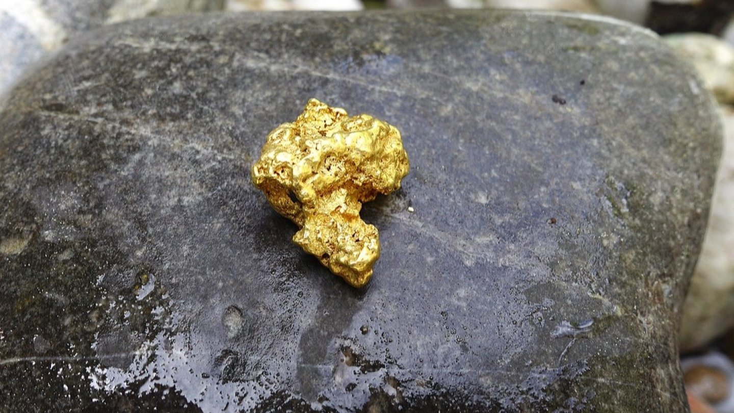 Бывший управляющий резиденциями президента незаконно добывал золото в ...